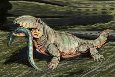 Reptiles were the most dominant animals during the Paleozoic period ...