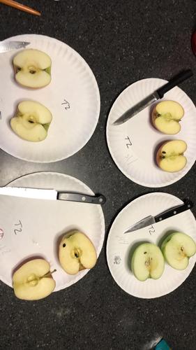 Trial Two, 15 mins of Exposure