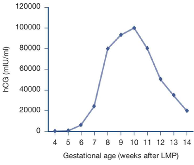 8-11 (gestational) weeks: beta-hCG levels peak @ 100,000 mIU/mL