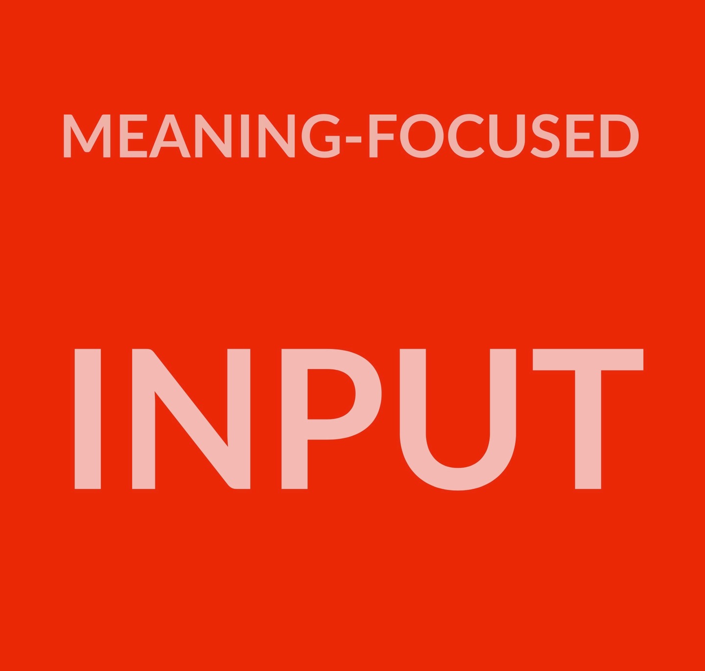 IMAGE 31 - MEANING FOCUSED INPUT