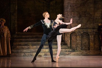 Photography by Beau Pearson, Principal Artists Emily Adams and Adrian Fry