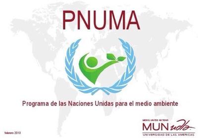 1973 Creación del PNUMA y del PIEA: