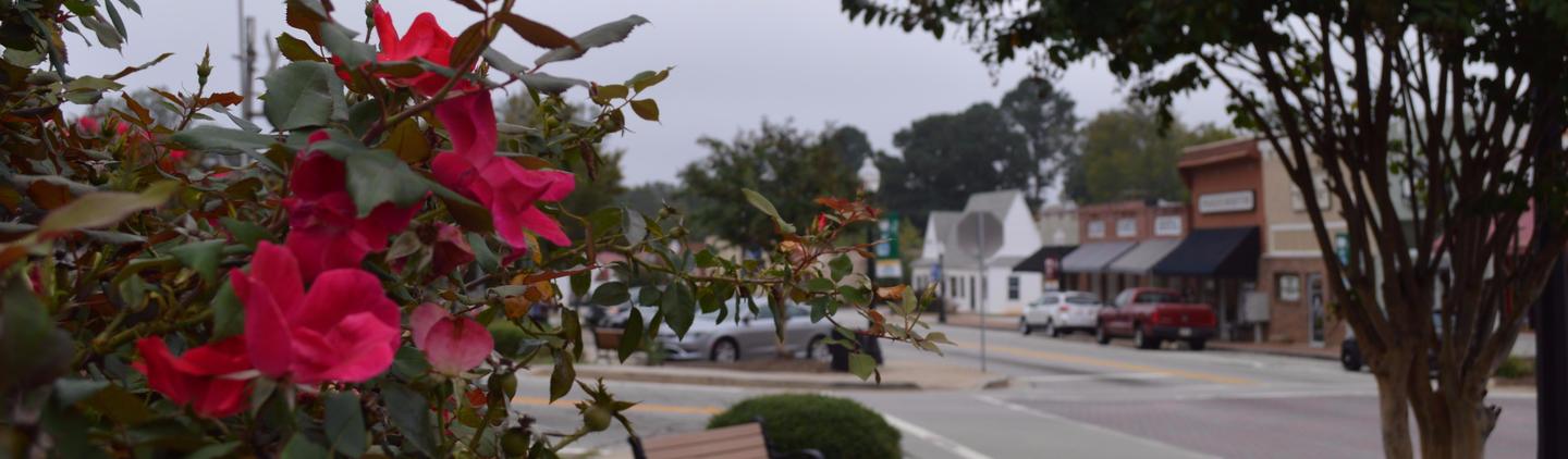 Downtown Hampton, GA