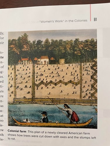 Courtesy: America The Essential Learning Edition. David Shi and Tindall.