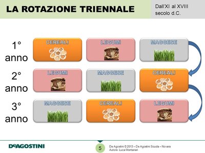 la rotazione triennale viene introdotta attorno all'anno 1000