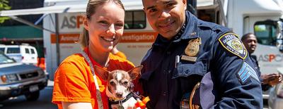 https://www.aspca.org/animal-protection/nypd-partnership
