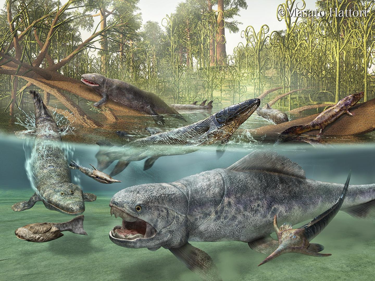 Devonian eon. Fish Diversity. 416 MYA.