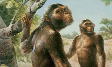 Los primeros homínidos pertenecían al género Australopithecus y se ...