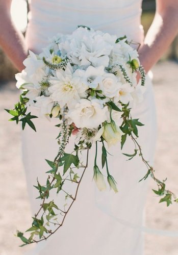 Characteristics: The flowers, fragrance, and symbolism associated with ...