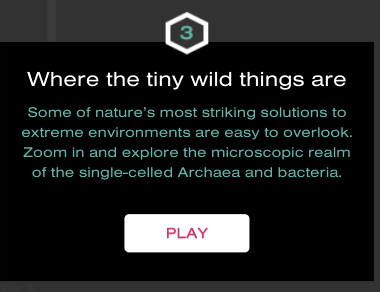 Level 3: Where the tiny wild things are