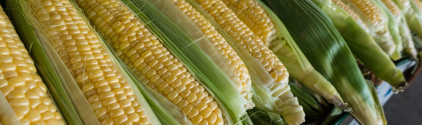 To print the story please do so via the link in the story toolbar.