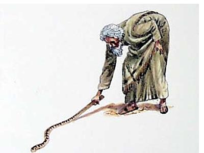 Moses' rod turning into a snake