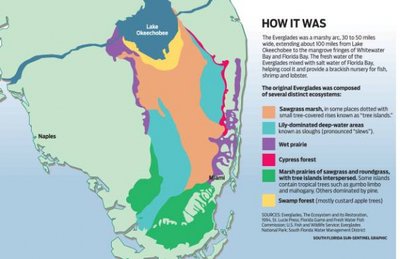 The everglades contains 8 distinct ecosystems.