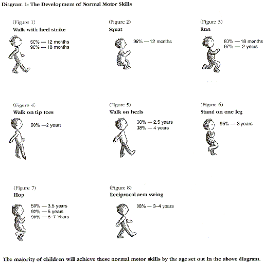 Child Development- Gross Motor Skills: