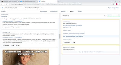 This is a peer review of my analysis paper off of my rough draft ...