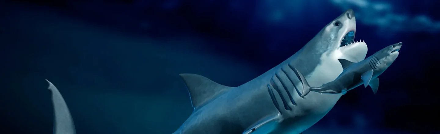 To print the story please do so via the link in the story toolbar.