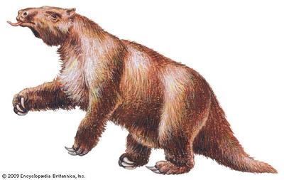-the giant ground sloth