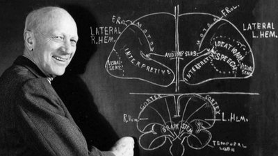 When : The Montreal procedure was developed in Montreal by Dr. Wilder ...