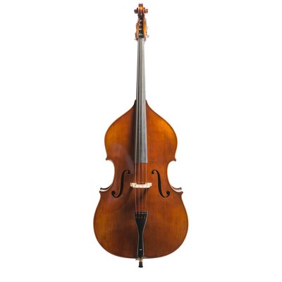An image of an orchestral double bass, including elements of both the ...