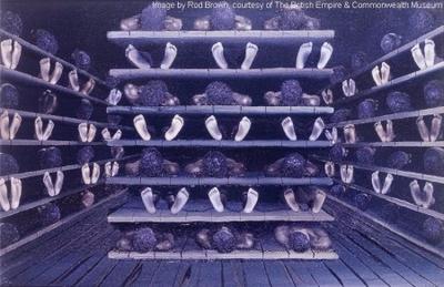 As you can see, the slaves were packed into shelves on the ship.