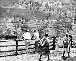 1954