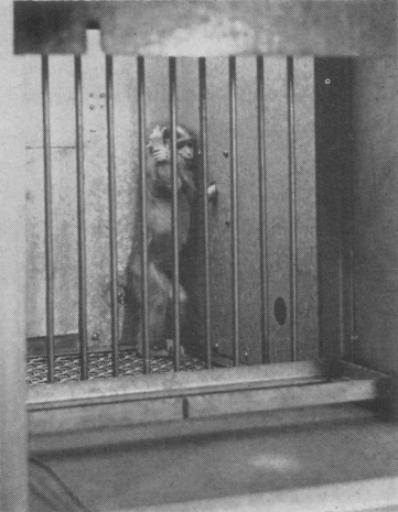 Retrieved from https://www.ncbi.nlm.nih.gov/pmc/articles/PMC285801/pdf ...