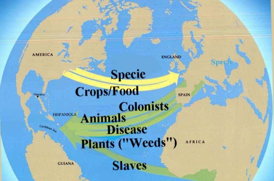 Columbian Exchange Food
