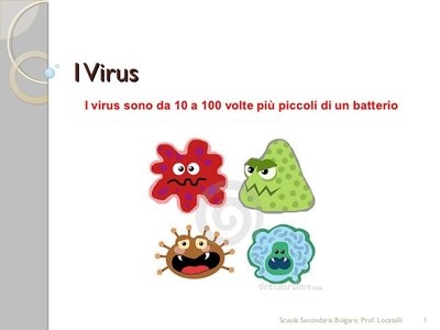 Batteri e virus sono organismi unicellulari