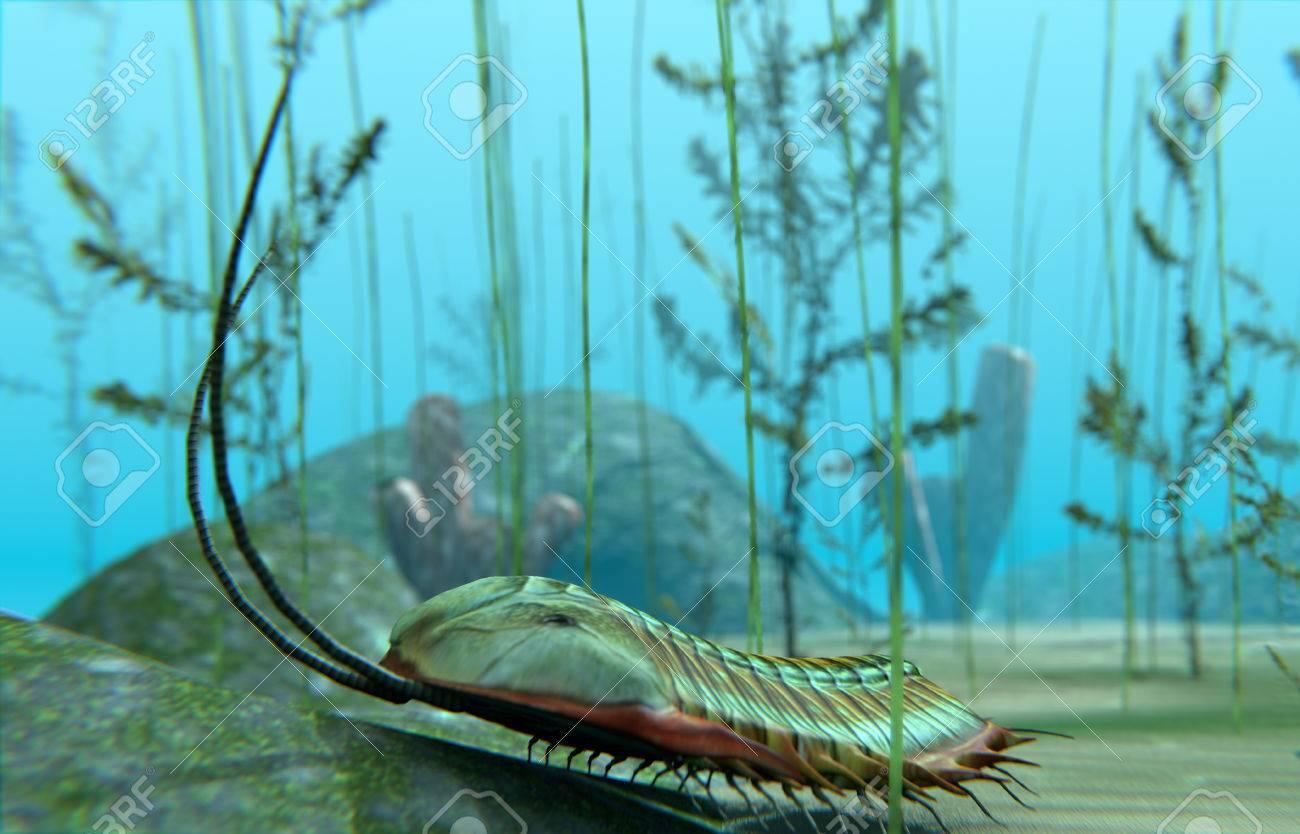 Paleozoic Era,Cambrian Period, 542 MYA was the first appearance of ...