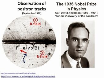 Carl Anderson discovered the positron.