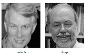 Figura 3. Richard Roberts y Phillip Sharp. (Gonzalo, 2003)