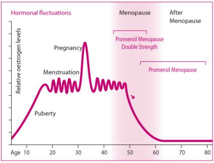 Menopause in women: evolution diagram