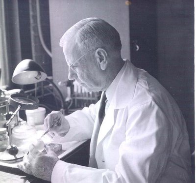 Ernest Goodpasture studying an egg to develop his discovery for growing ...