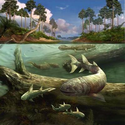 Devonian Extinction