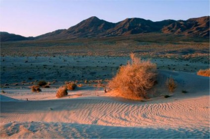 1994: Desert Protection Act