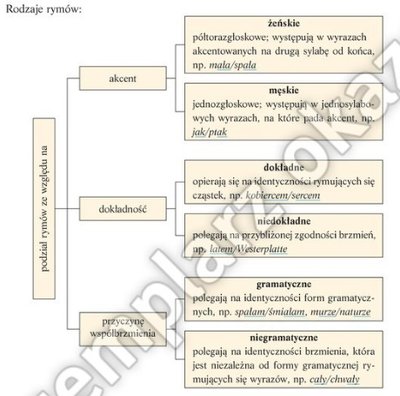 Na podstawie schematu spróbuj podać własne przyłady z każdego rodzaju ...
