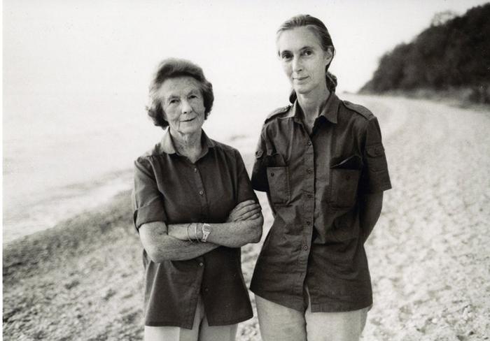 Jane Goodall's mother once told her, "If you really
