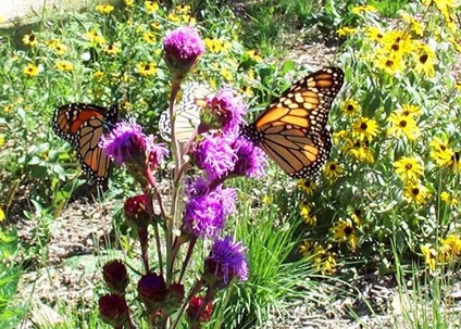 140 million years ago