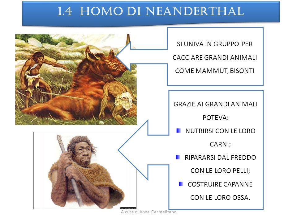L'Homo di Neanderthal aveva imparato a seppellire i morti.