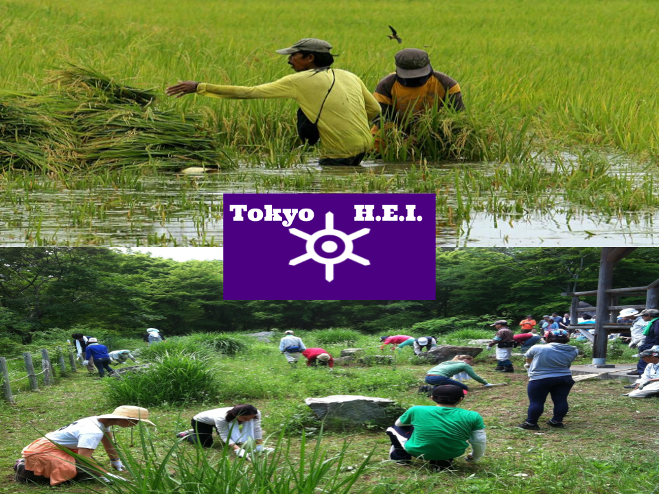 H.E.I. (Human-Environment Interaction)