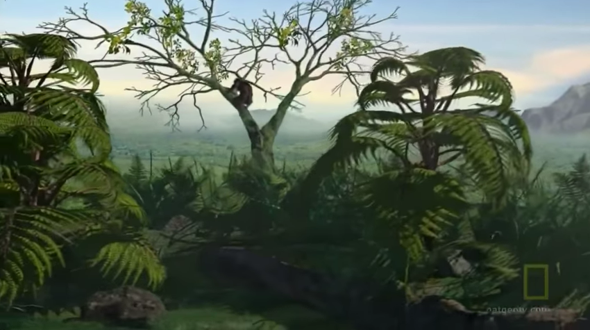 Monkey-like animal sitting in tree