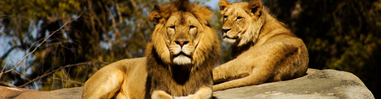 To print the story please do so via the link in the story toolbar.