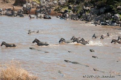 Story Line Development