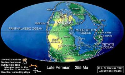 This is a map of the earth during the Permian period.