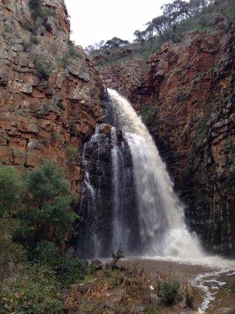 First falls now (2017)