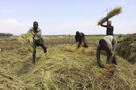 by: Jillian Lilly and Gabe Hendrix