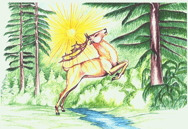 A csodaszarvas az újjászületés és a megújulás, valamint a Nap jelképe.