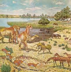 Quaternary Period