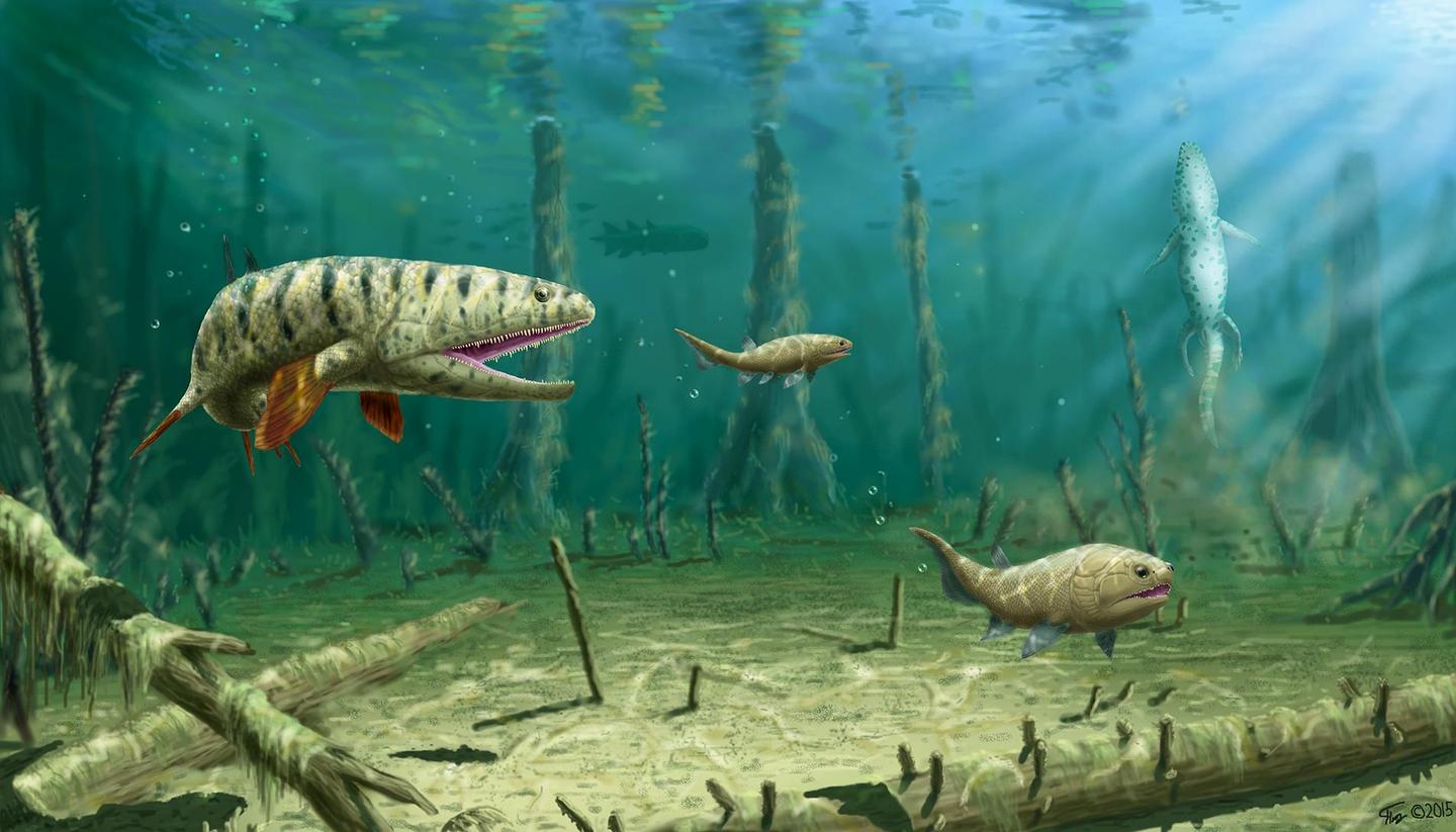 During the Paleozoic Era in the Phanerozoic Eon, the fourth period, the ...