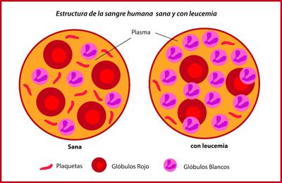 2015 Primer reporte del uso de la terapia genética contra la leucemia.